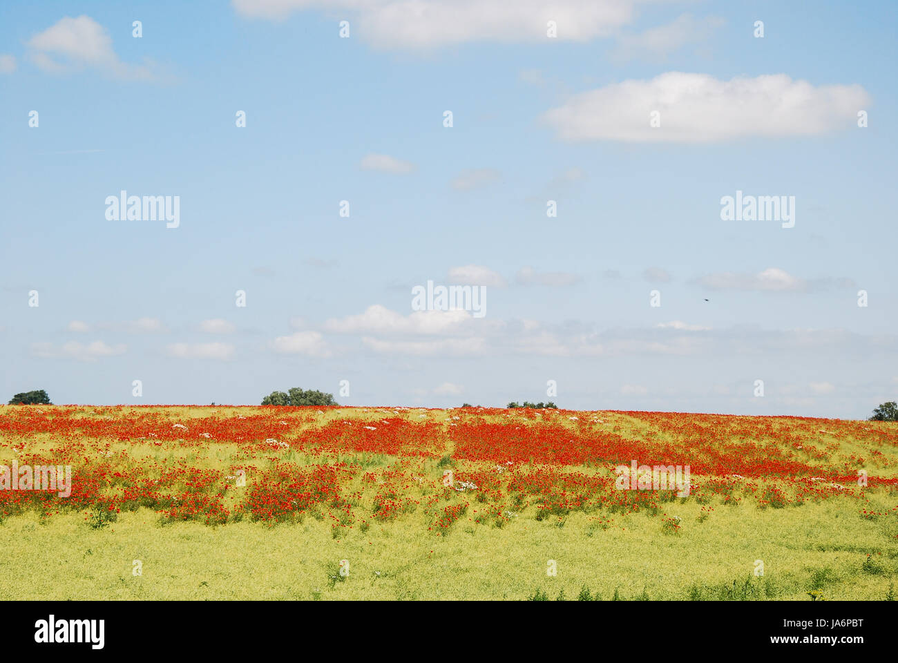 blue, beautiful, beauteously, nice, environment, enviroment, colour ...