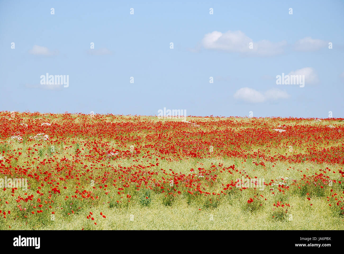 blue, beautiful, beauteously, nice, environment, enviroment, colour ...