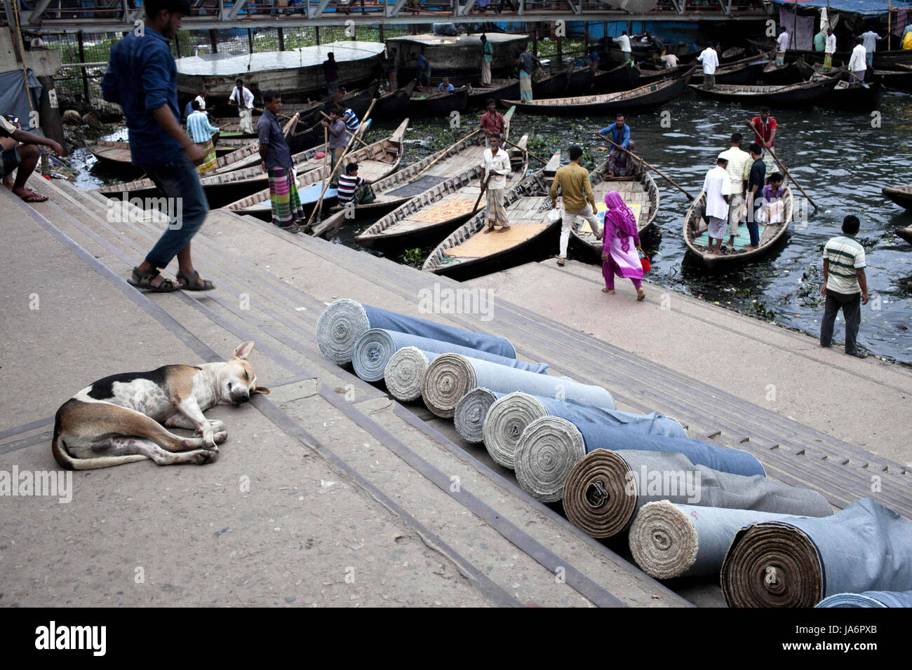 Dhaka, Bangladesh. 4th June, 2017. June 04, 2017 Dhaka, Bangladesh - A ...