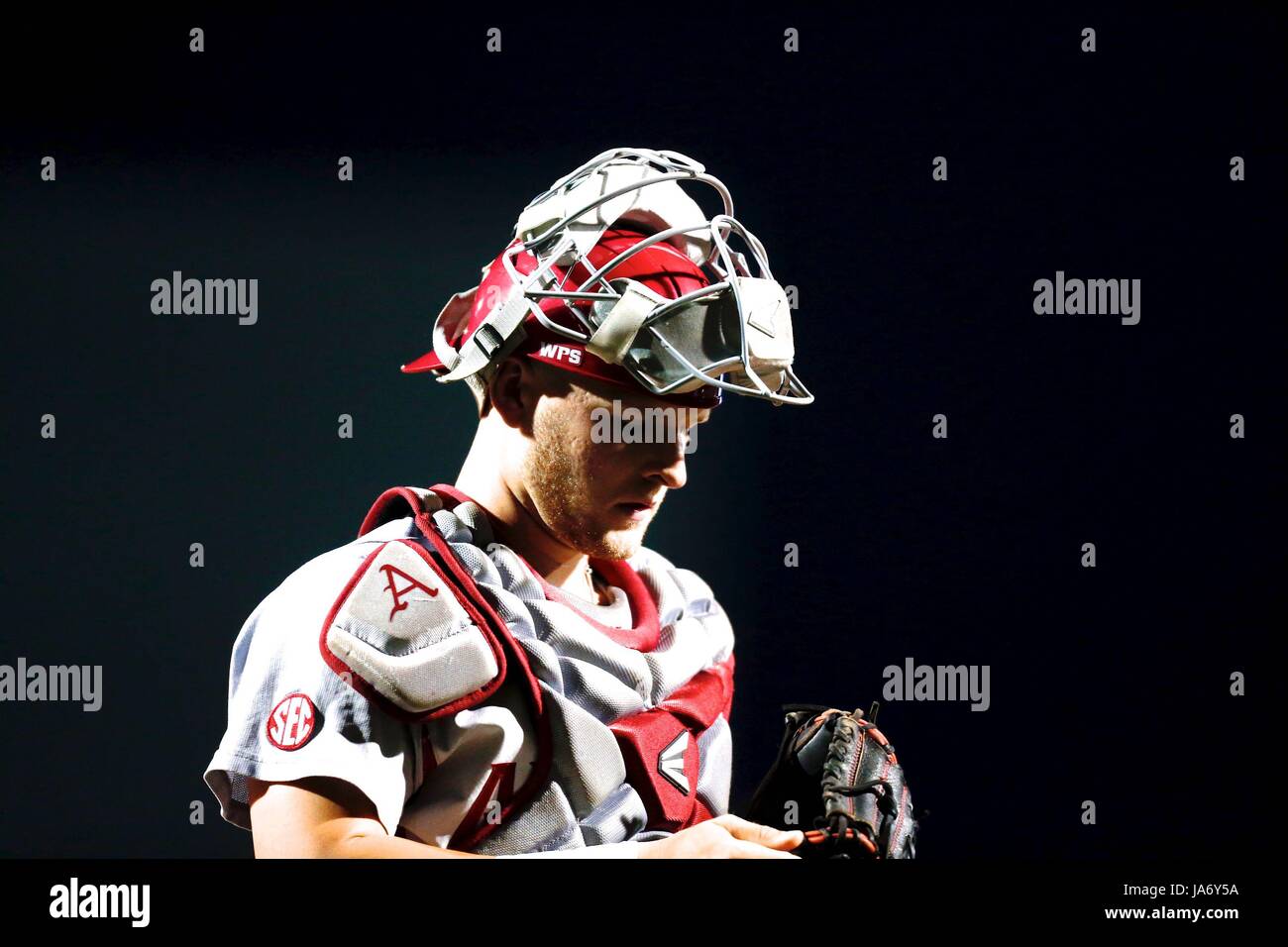 Razorback stadium hi-res stock photography and images - Alamy