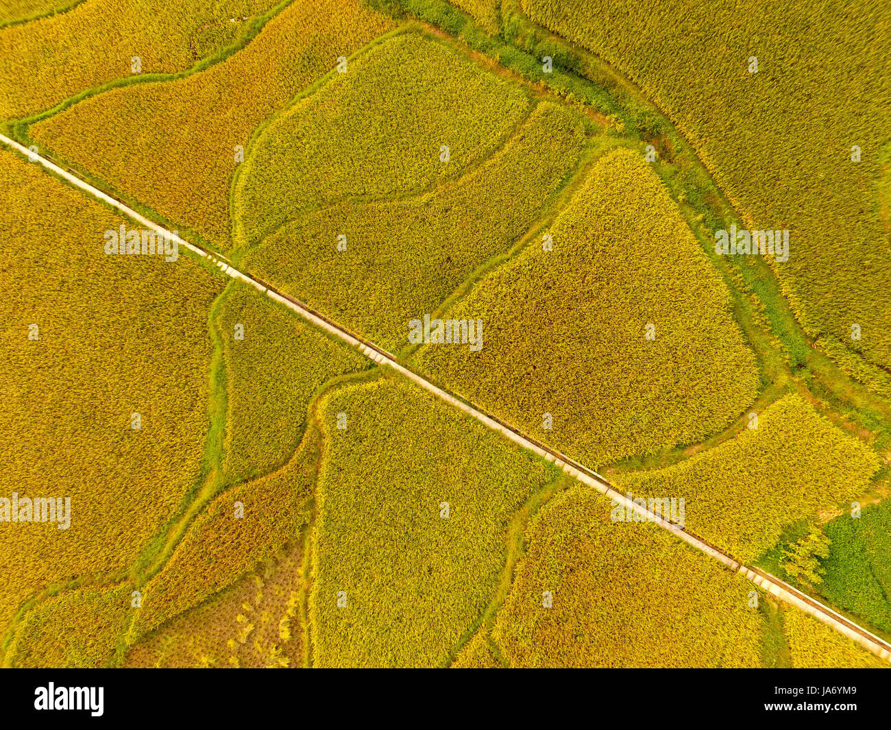 Luzhou, China. 24th Aug, 2017. Aerial photography of village in Luzhou ...