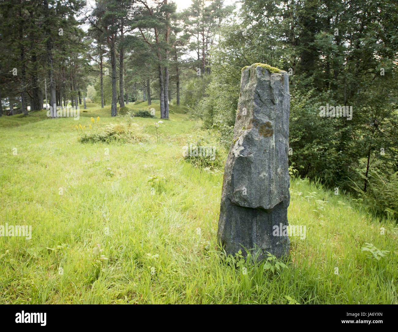 August 8, 2017 - Afjord, Trondelag, Norway - The Dragsseidet cemetery ...