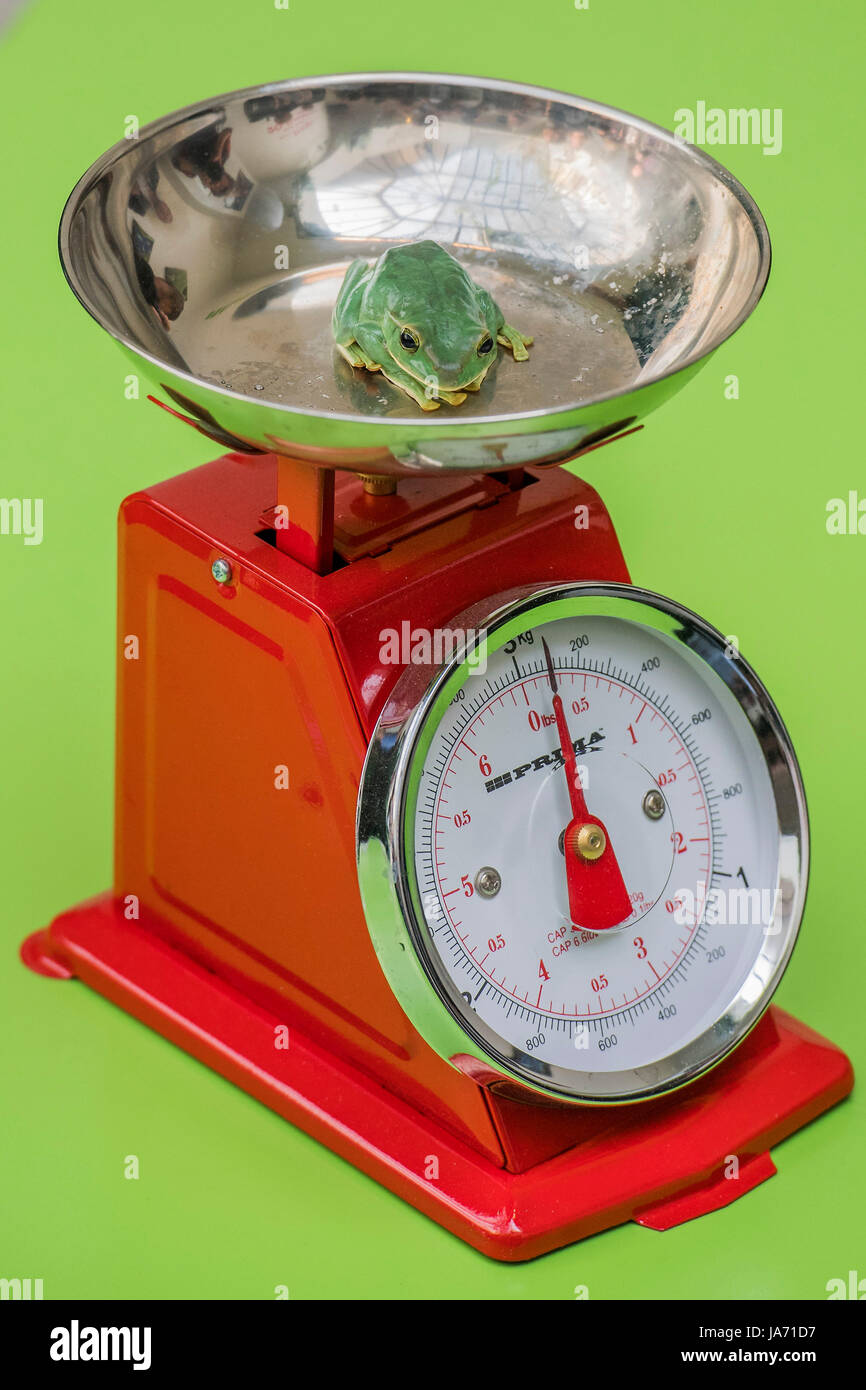 Feas hi-res stock photography and images - Alamy