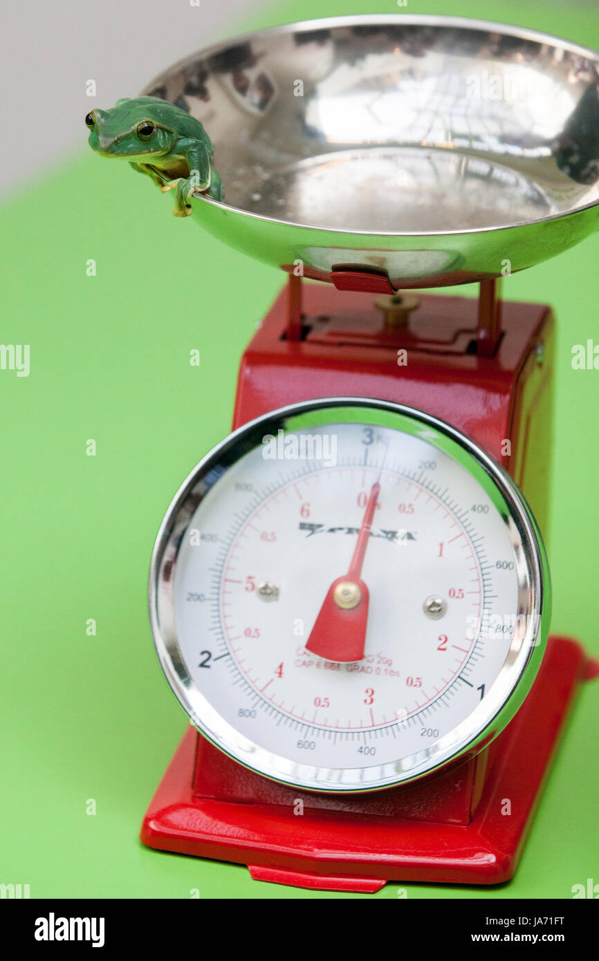 London flying records hi-res stock photography and images - Alamy