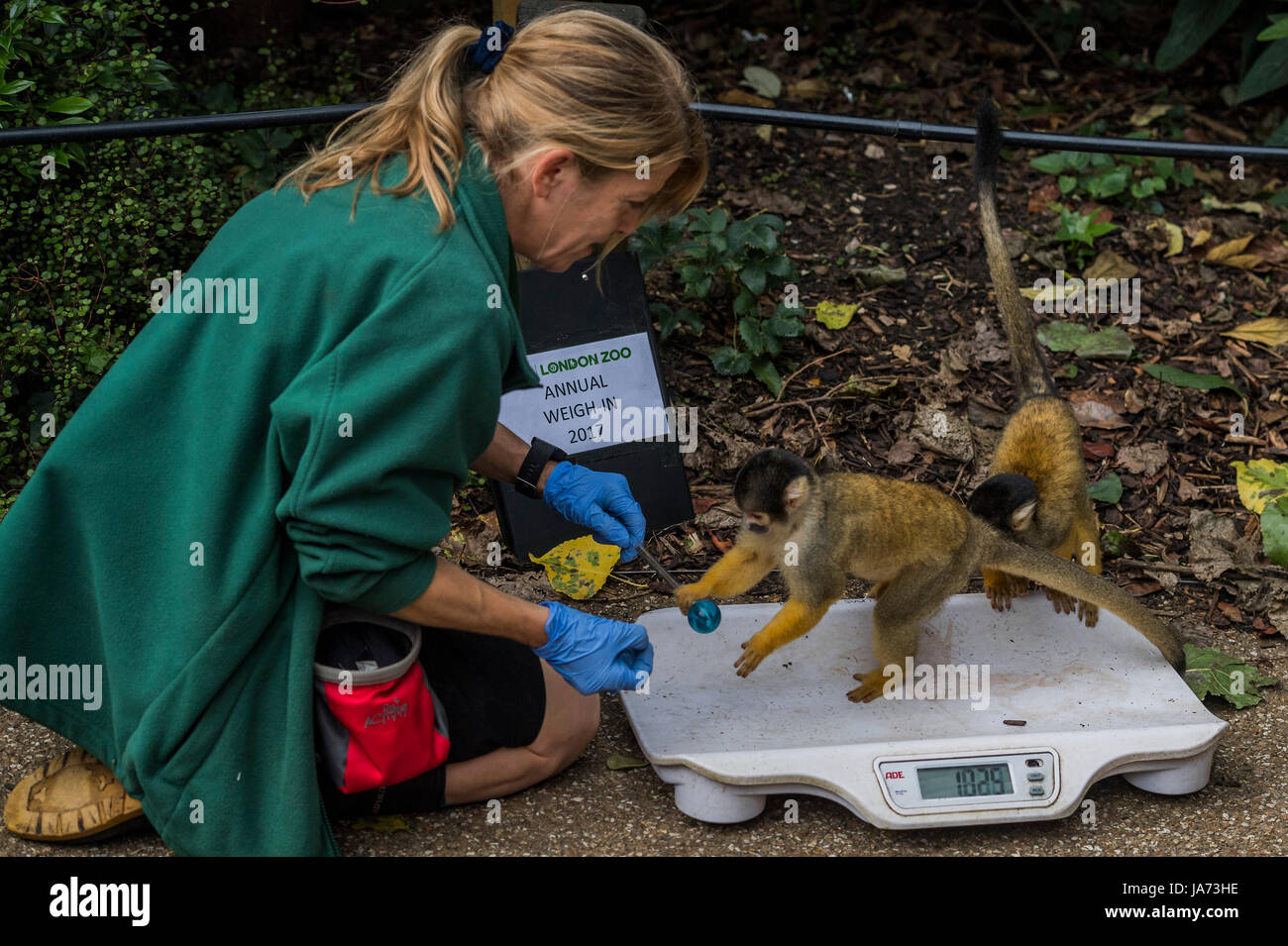London zoo keeper hi-res stock photography and images - Alamy