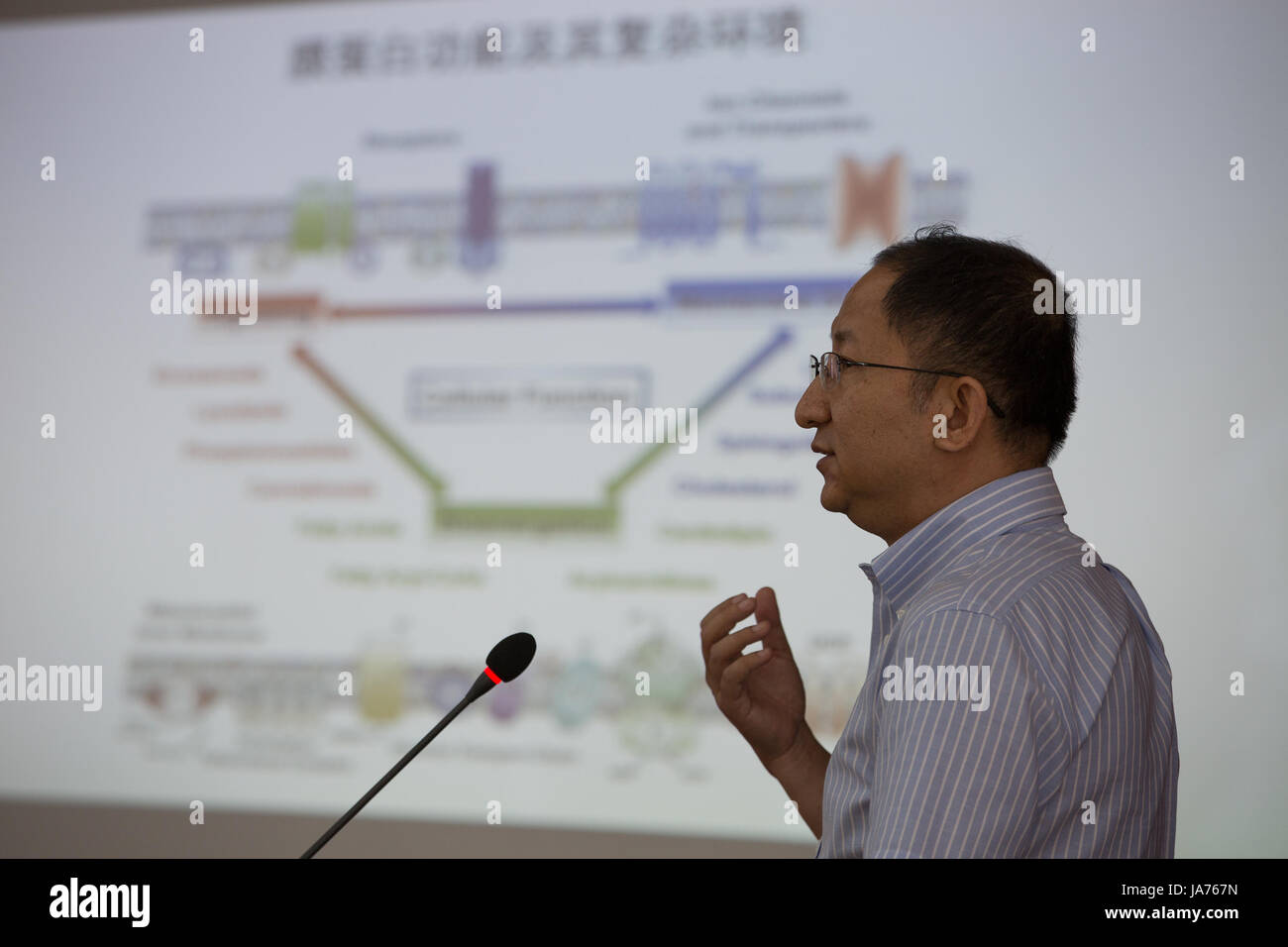 Northwest university beijing hi-res stock photography and images - Alamy