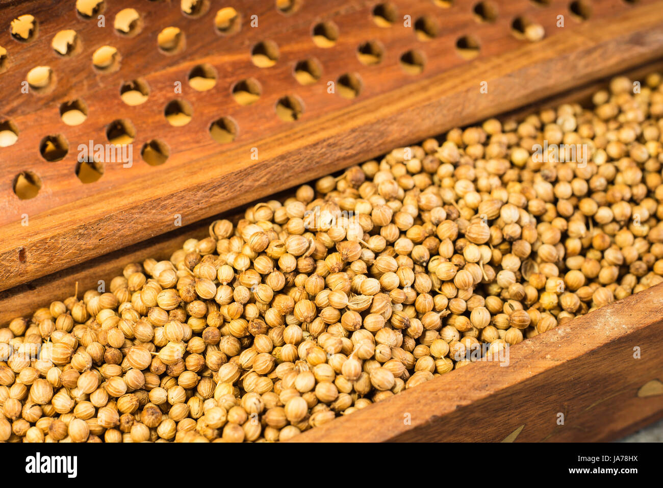 spice, condiment, asiatic, spicy, chinese, indian, coriander, wort ...