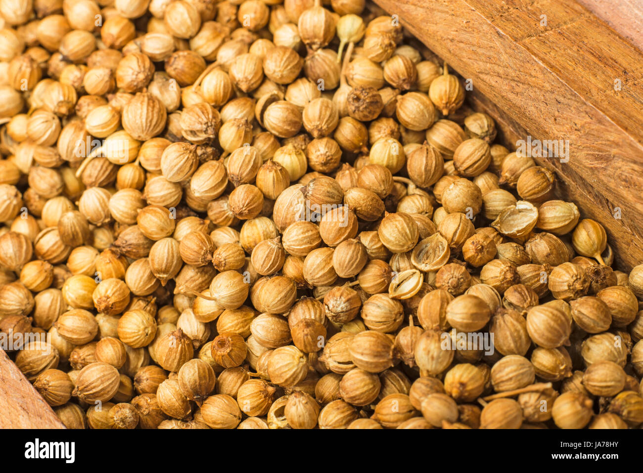 spice, condiment, asiatic, spicy, chinese, indian, coriander, wort ...