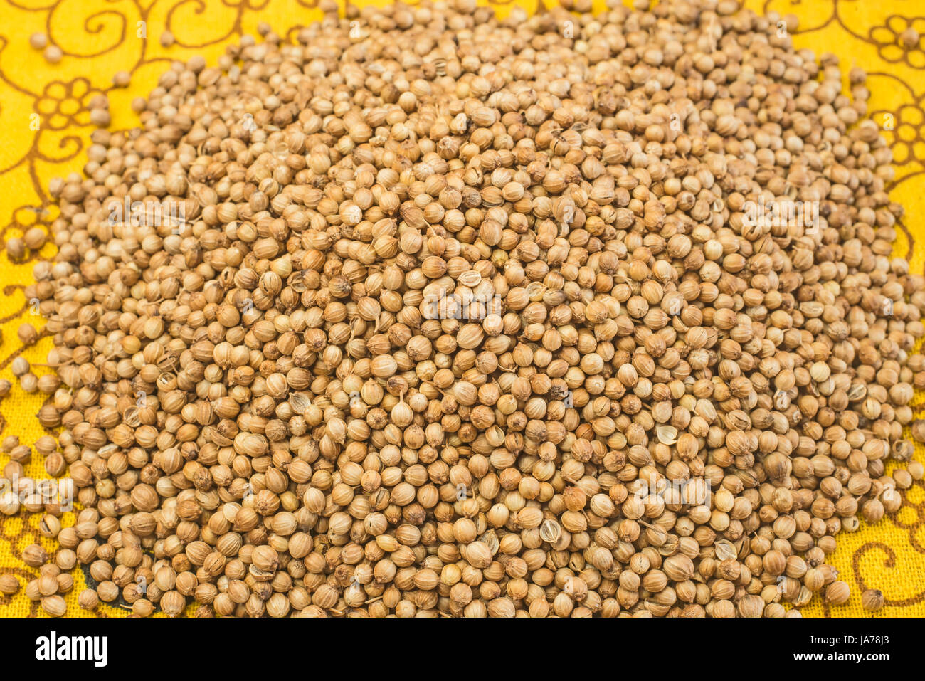 spice, condiment, asiatic, spicy, chinese, indian, coriander, wort ...