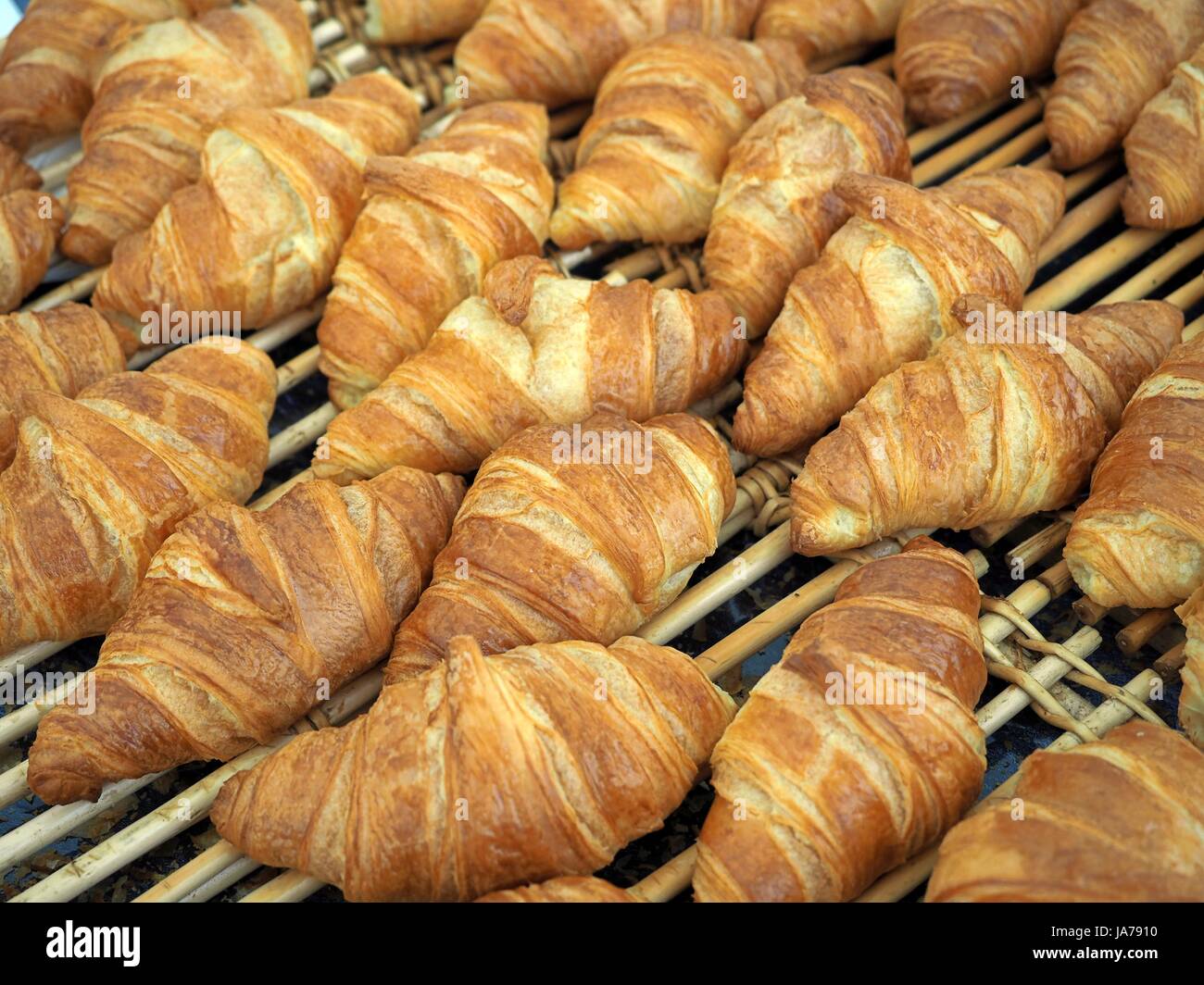 Many traditional homemade chocolate croissants, fresh and fragrant ...