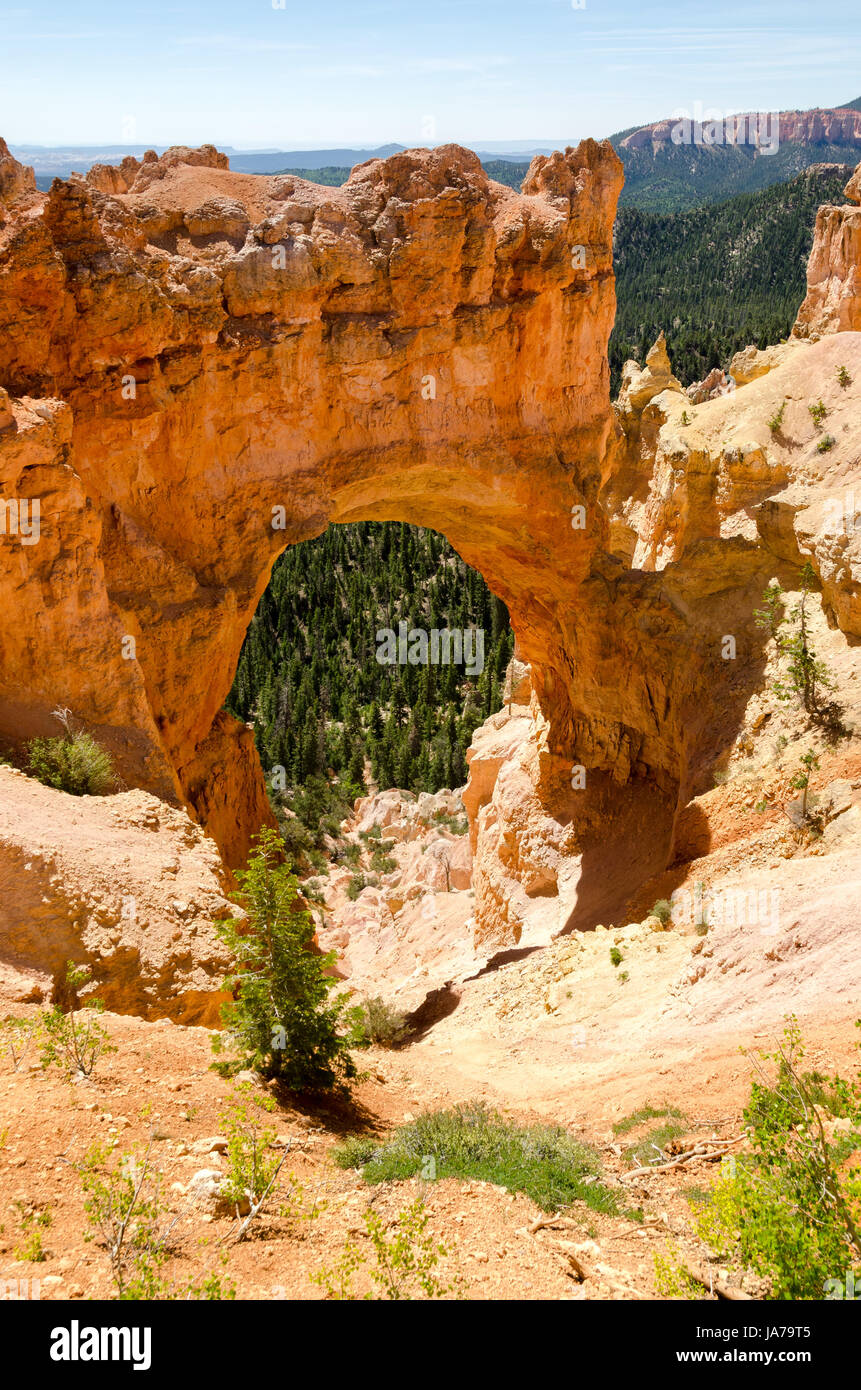 summer, summerly, erosion, Canyon, geology, colors, colours ...
