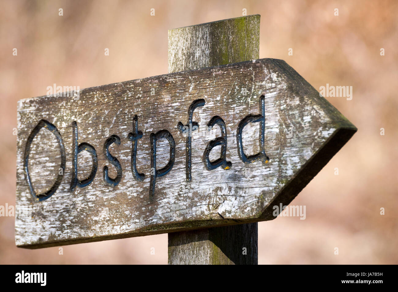 sign, signal, food, aliment, health, eco, well being, well-being, wood ...