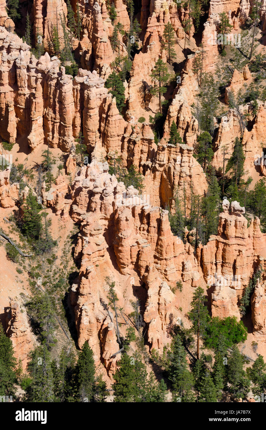 summer, summerly, erosion, Canyon, geology, colors, colours ...