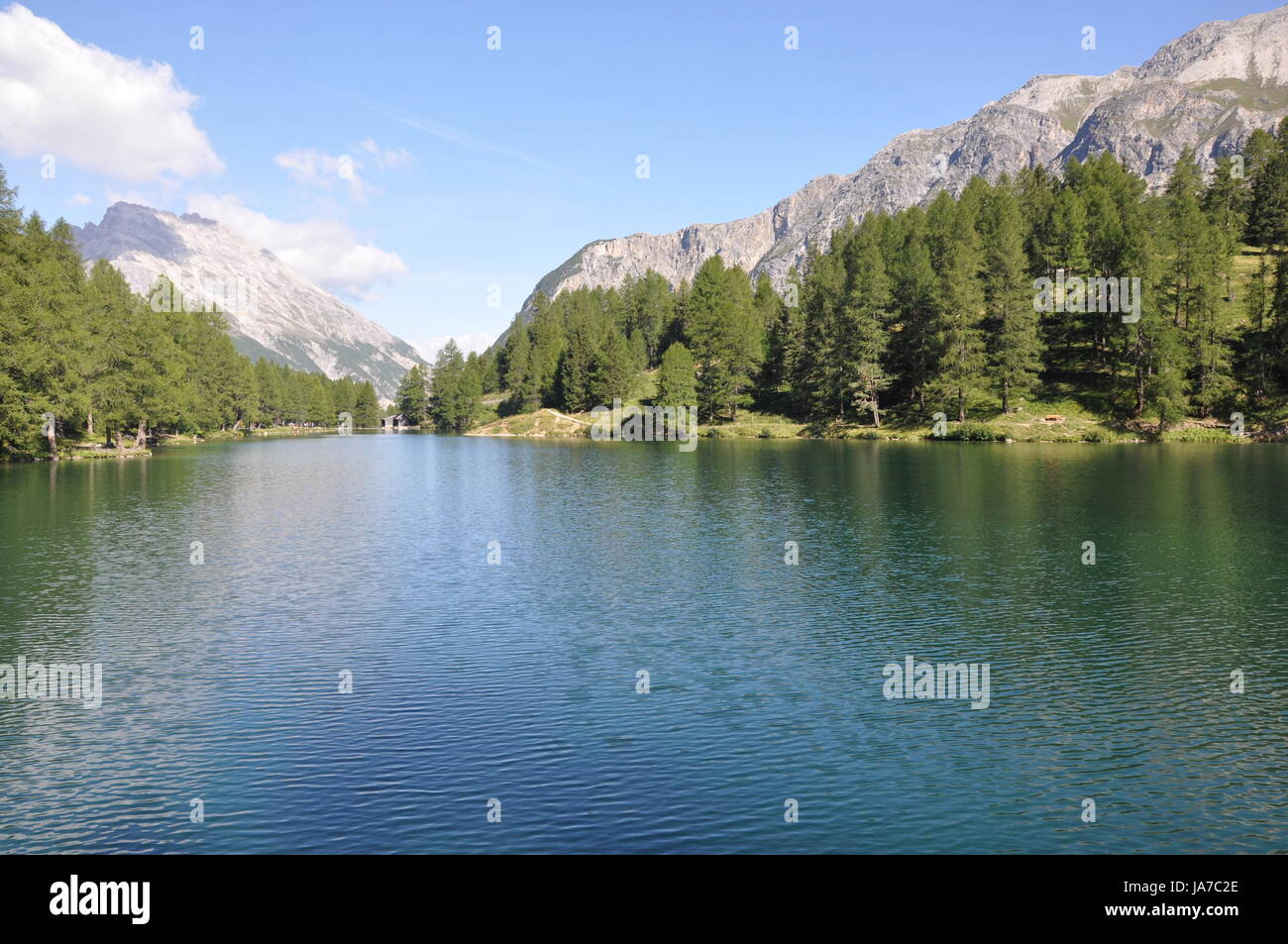 grisons, angle, fish, mountain lake, salt water, sea, ocean, water ...