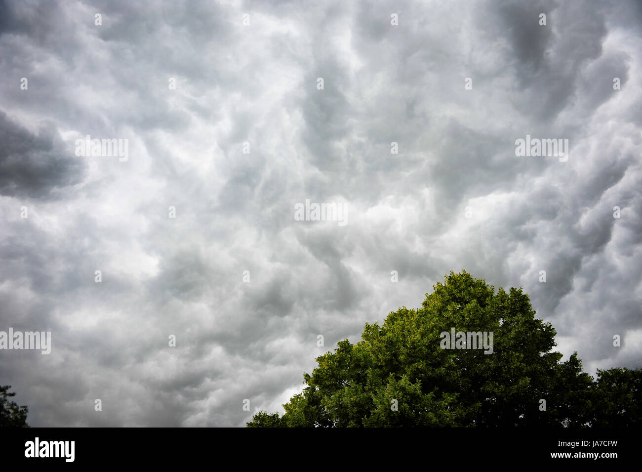dramatic, thunder-storm, frowningly, menacing, meteorology, rain cloud ...
