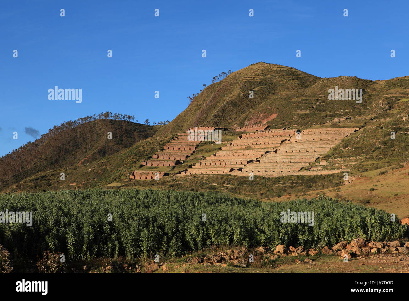 ruins, peru, bolivia, incas, ruins, south america, peru, andes, bolivia ...