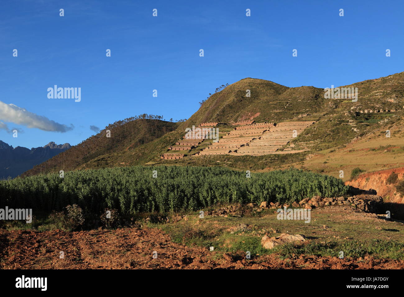 ruins, peru, bolivia, incas, ruins, south america, peru, andes, bolivia ...