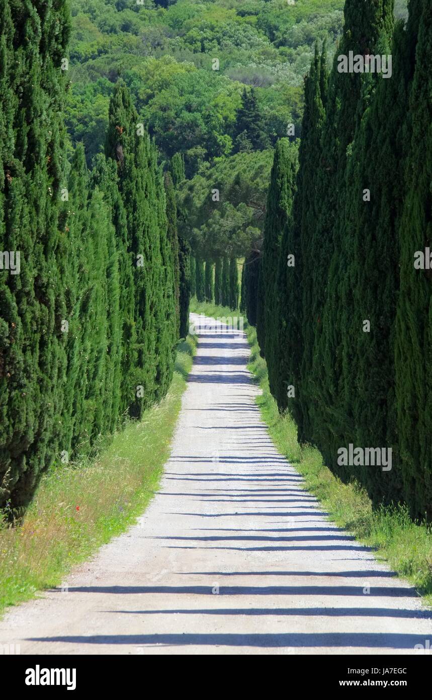Road Italy High Resolution Stock Photography and Images - Alamy