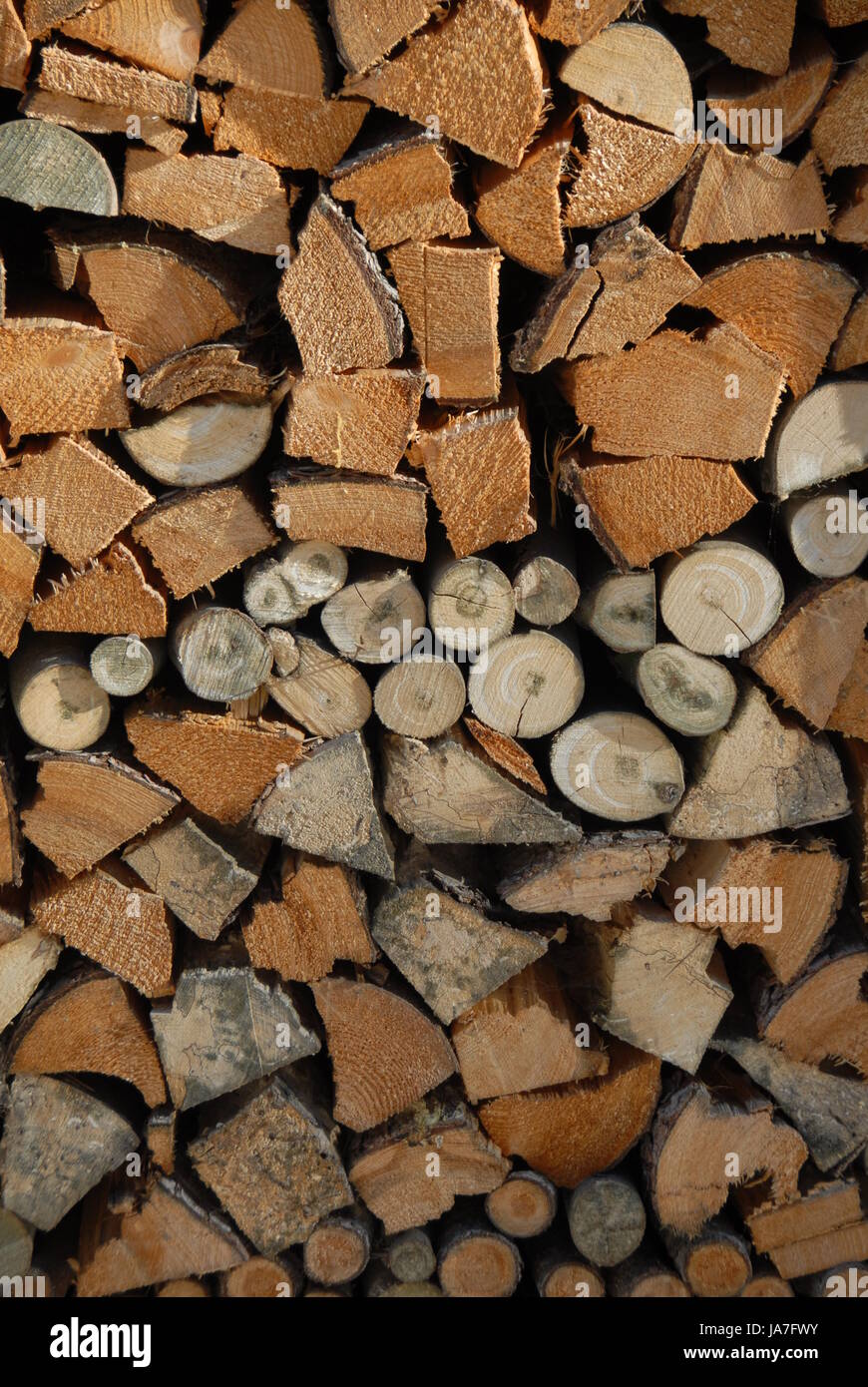 tree, trees, wood, branches, barn, tree, trees, wood, branches, moss ...