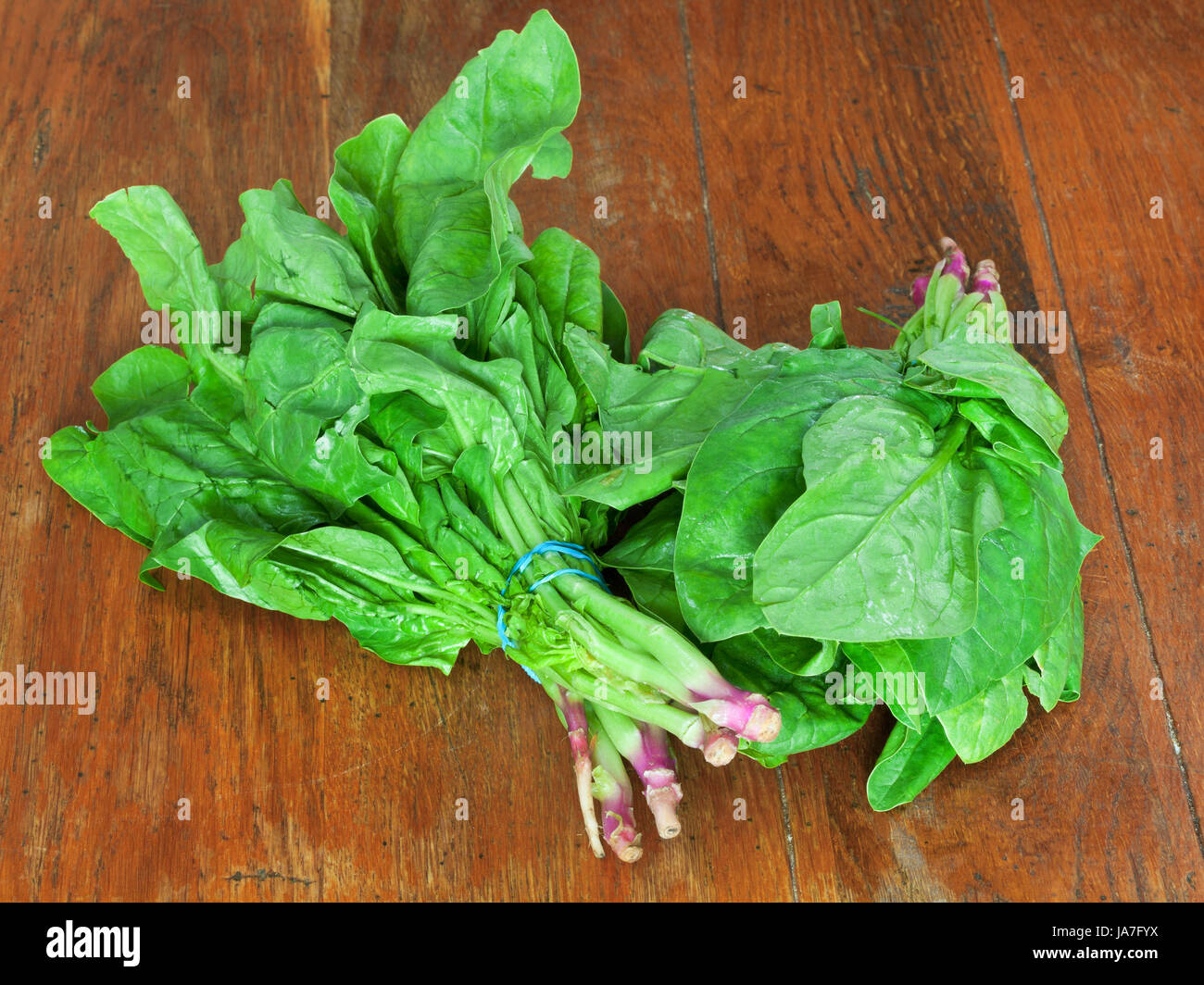 food, aliment, leaf, spice, green, branch, aromatic, kitchen, cuisine ...