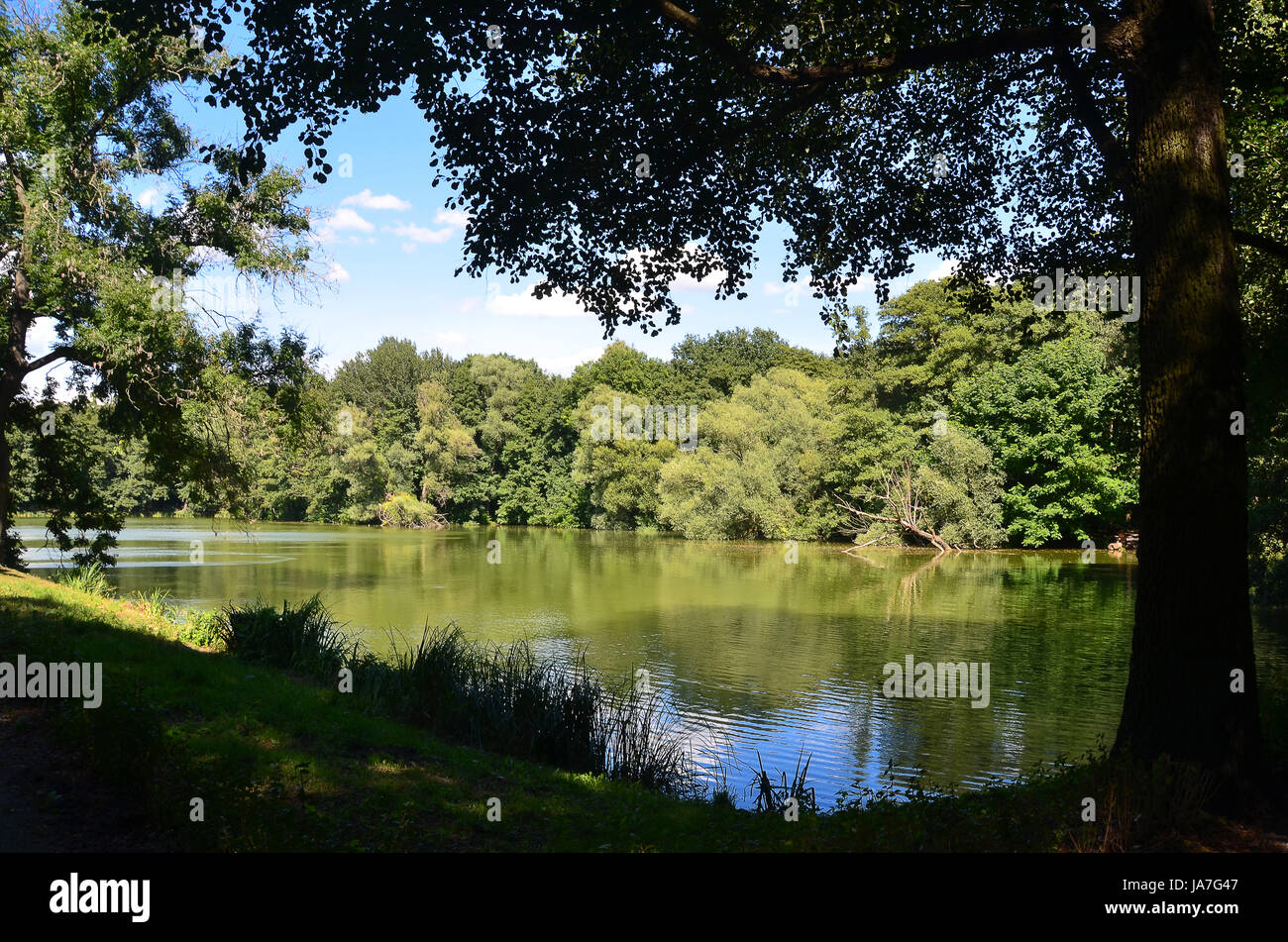 parkway, walk, recuperation, seasons, fresh water, lake, inland water ...