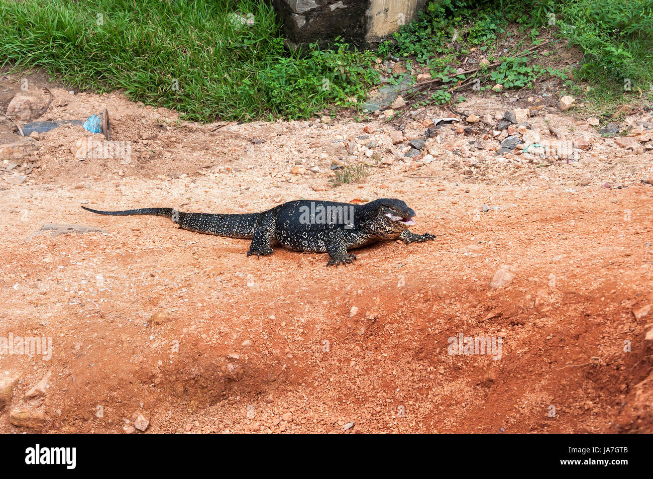 big, large, enormous, extreme, powerful, imposing, immense, relevant ...