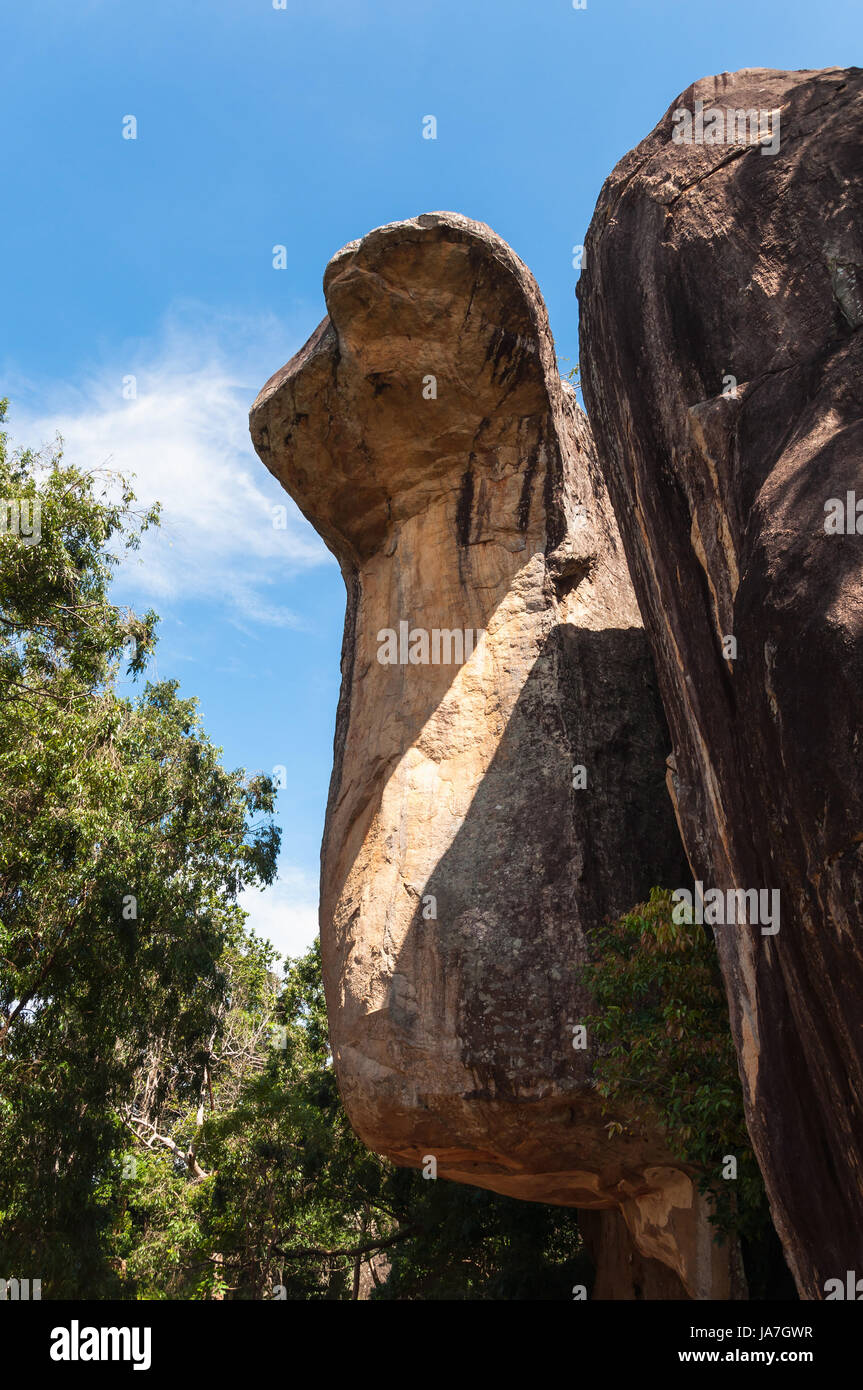 stone, asia, lion, cat, big cat, feline predator, rock, ruins, fortress ...