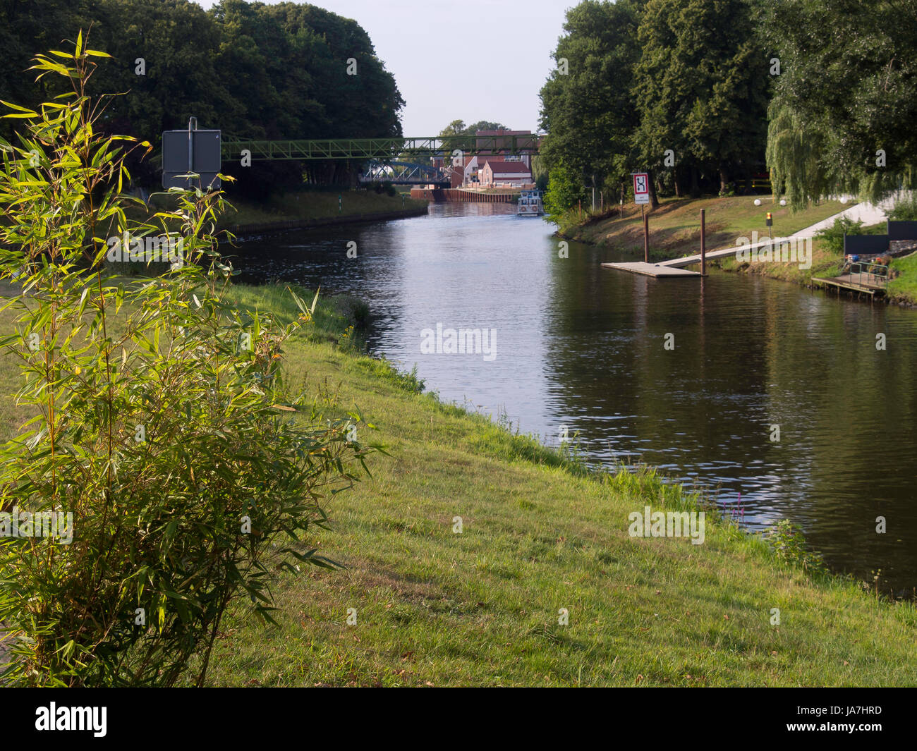 tree, river, water, nature, tree, trees, current of the river, river ...
