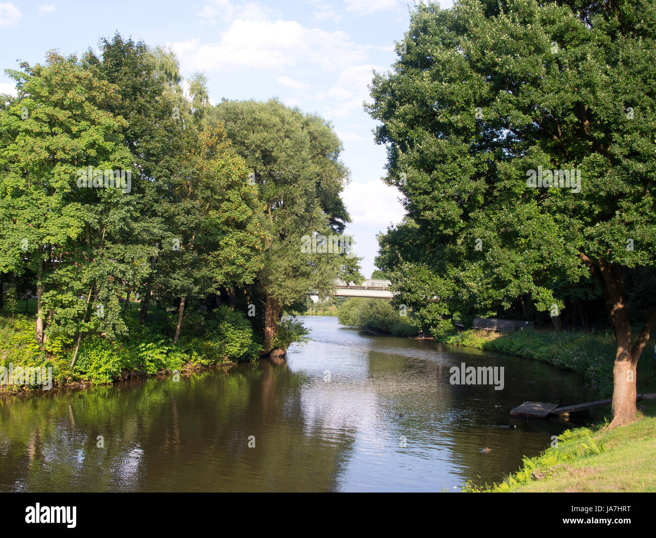 channel, water, tree, trees, navy, channel, cycle track, bank, water ...