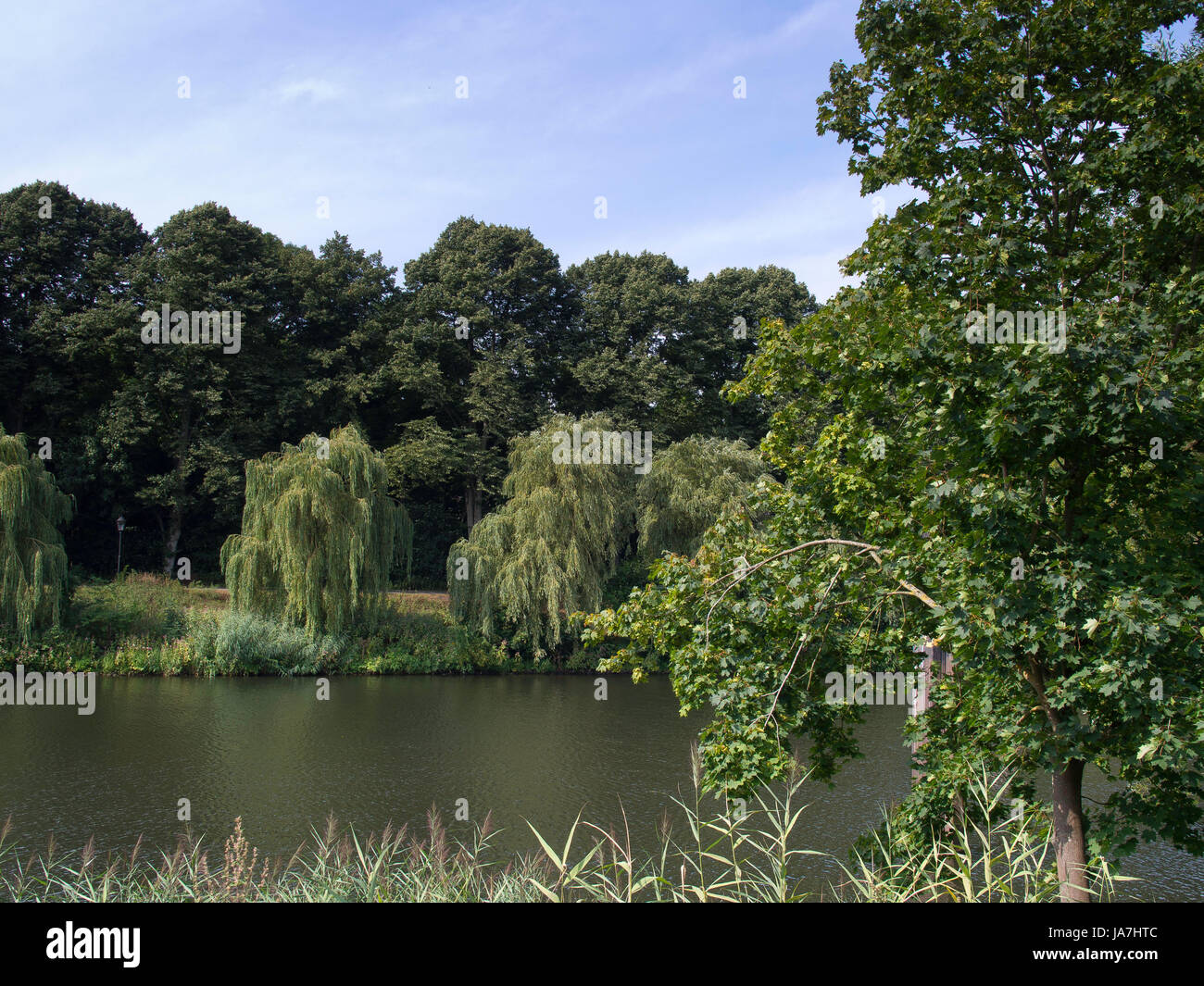 channel, water, tree, trees, navy, channel, cycle track, bank, water ...