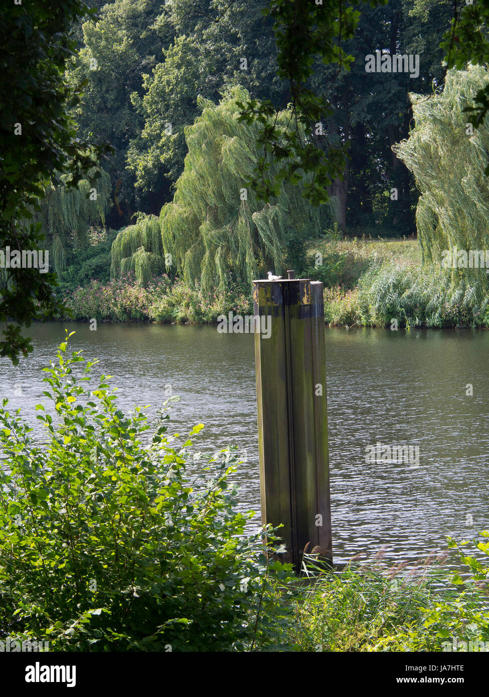 channel, water, tree, trees, navy, channel, cycle track, bank, water ...