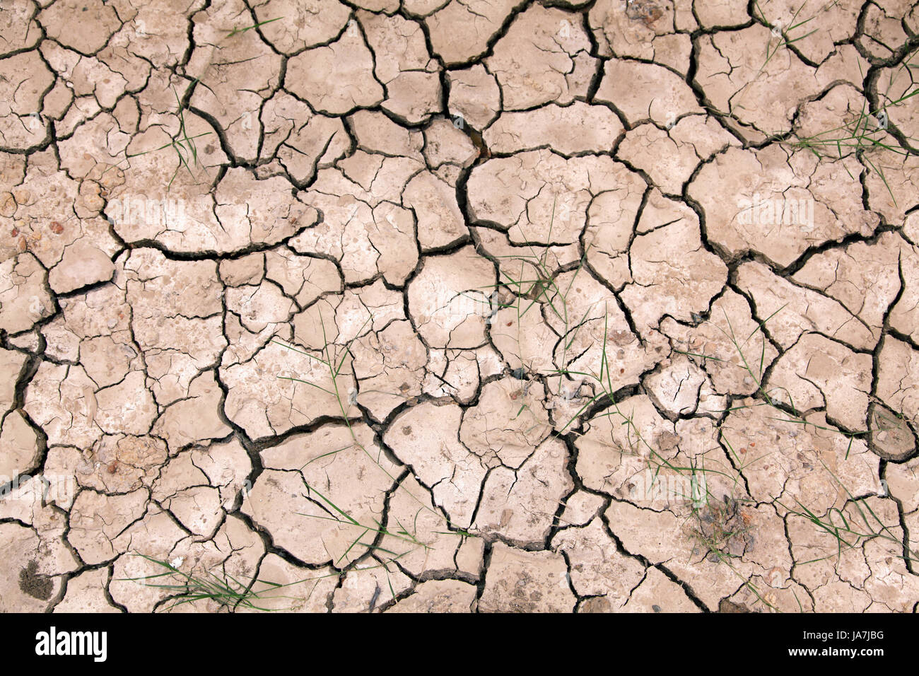 ground, soil, earth, humus, dust, dry, dried up, barren, terrain, crack ...