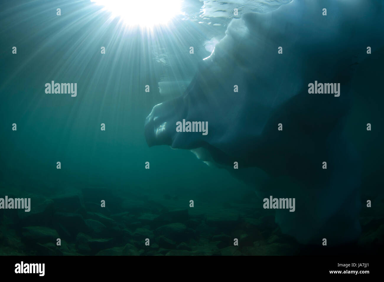 Green iceberg algae hi-res stock photography and images - Alamy