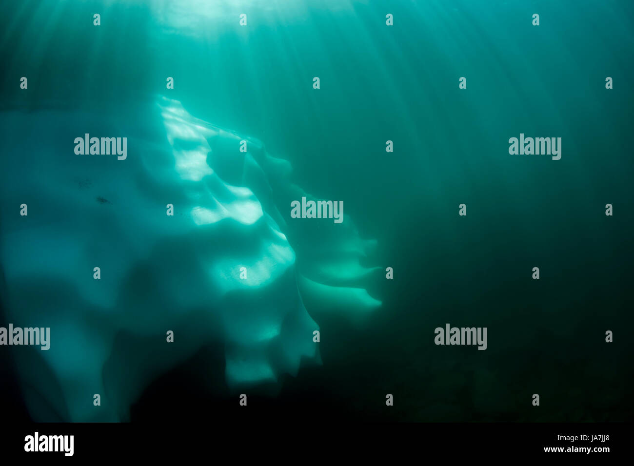 Green iceberg algae hi-res stock photography and images - Alamy