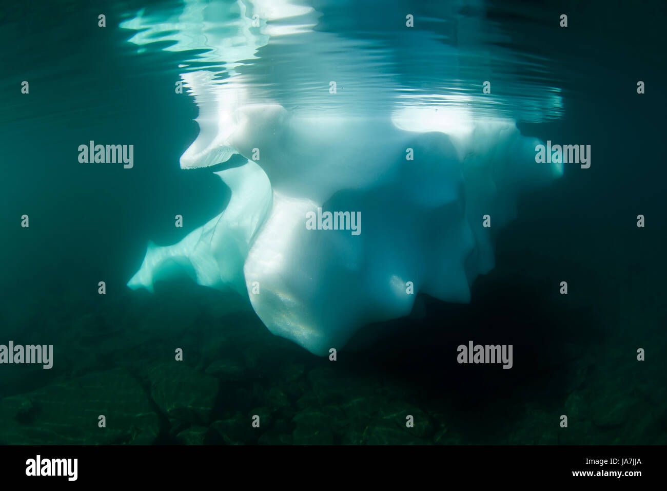 Green iceberg algae hi-res stock photography and images - Alamy