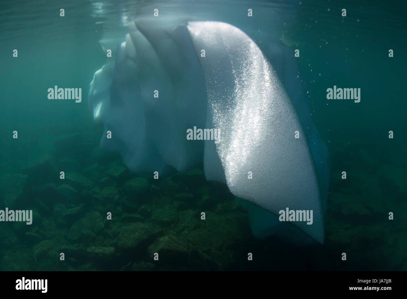 Green iceberg algae hi-res stock photography and images - Alamy