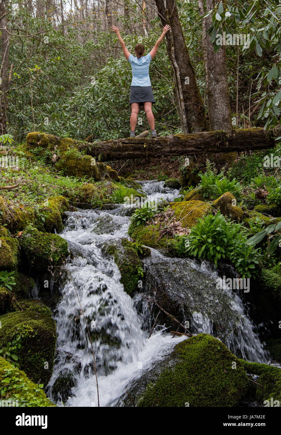 Woman Stands on Log Bridge and Power Poses above waterfall Stock Photo ...