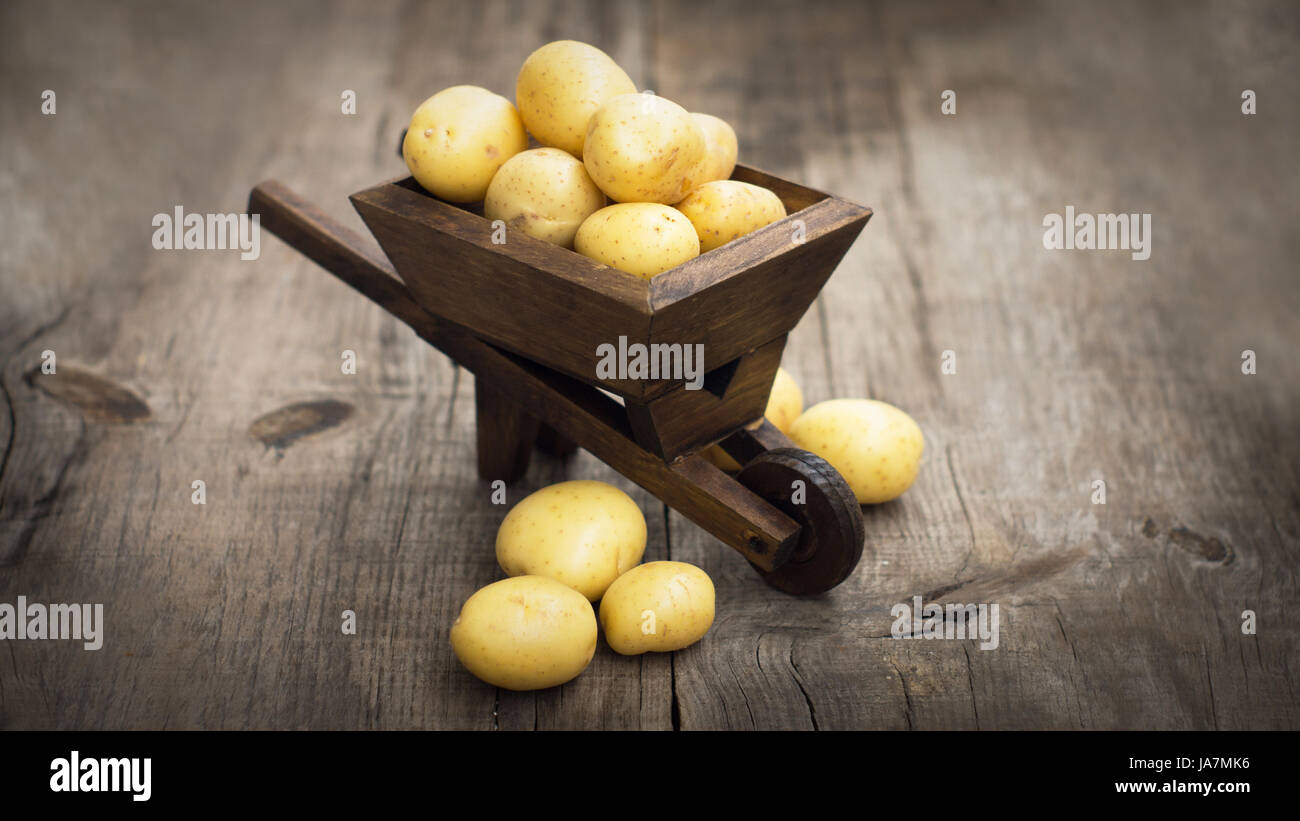 food, aliment, garden, wood, harvest, vintage, gardening, wheelbarrow ...