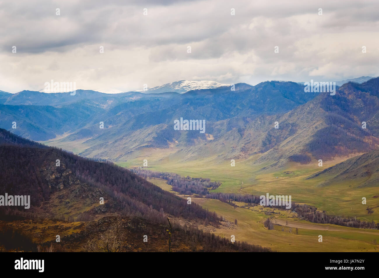 landscape with mountains, forest, meadow in front. beautiful scenery ...