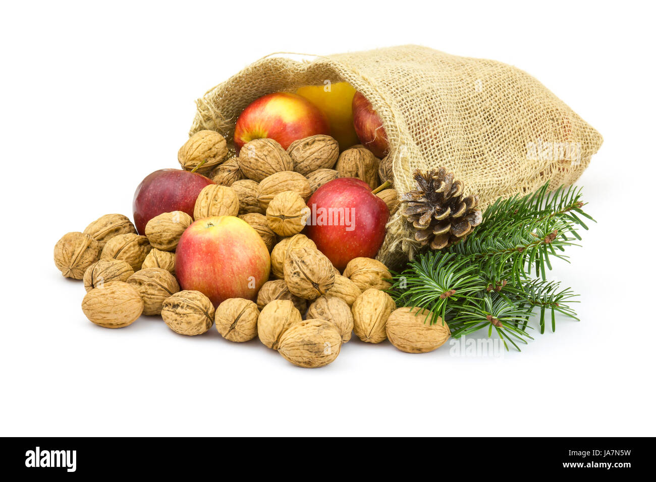 food, aliment, isolated, tree, shell, fruit, raw, cone, bag, festive ...
