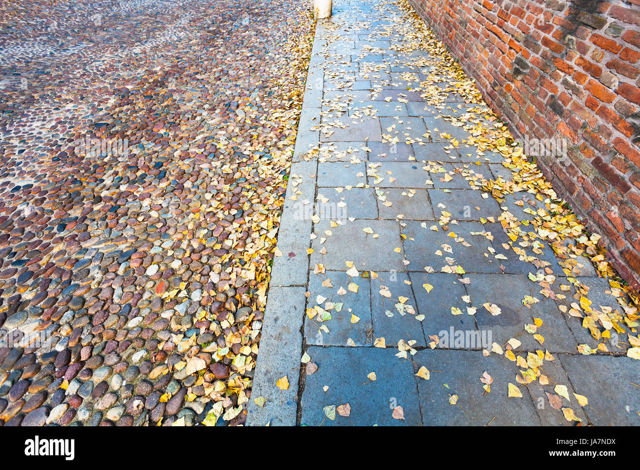 leaf, historical, city, town, stone, antique, pavement, outdoor, wet ...