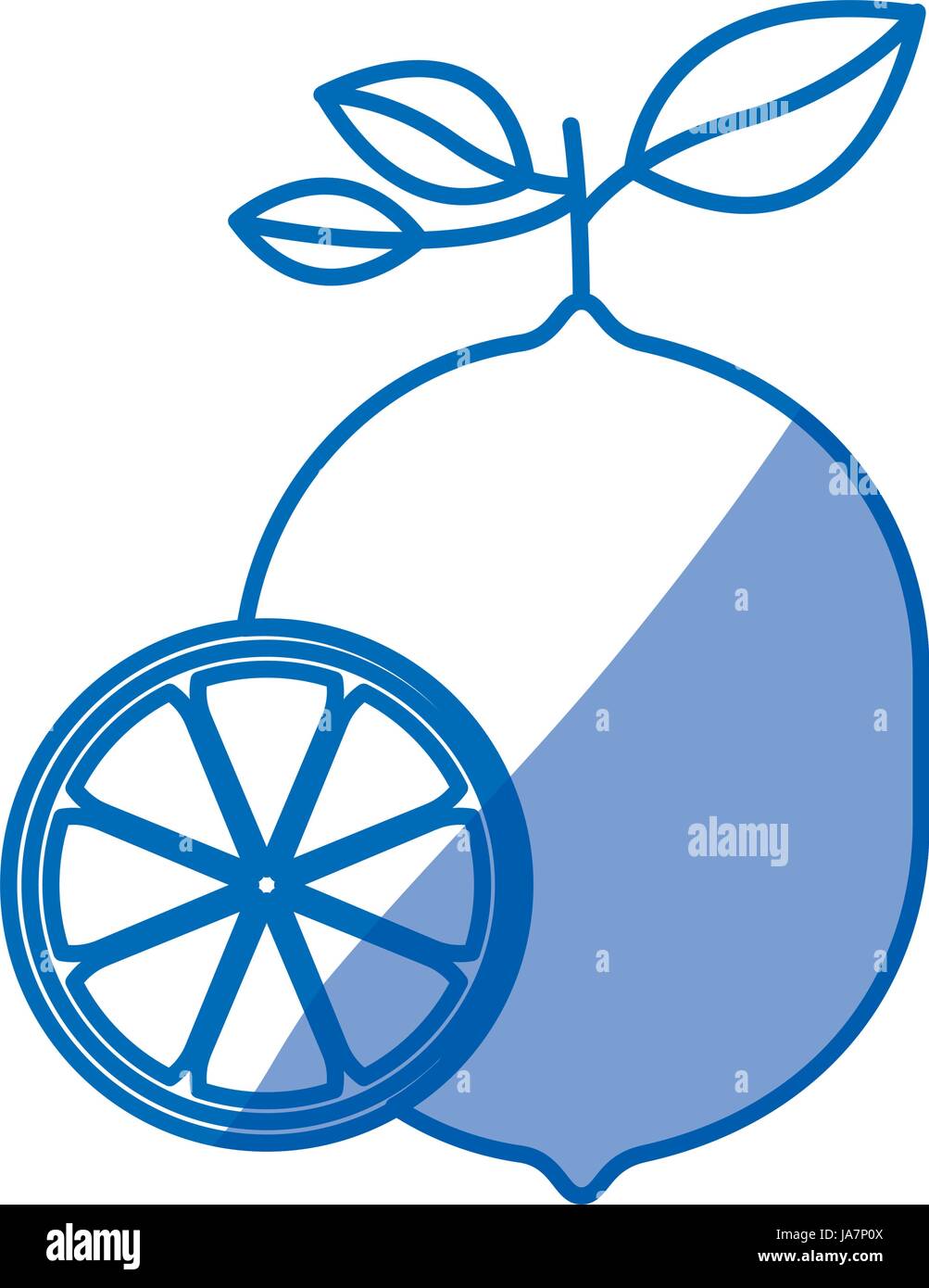 blue shading silhouette of lemon fruit with stem and leaves and slice ...