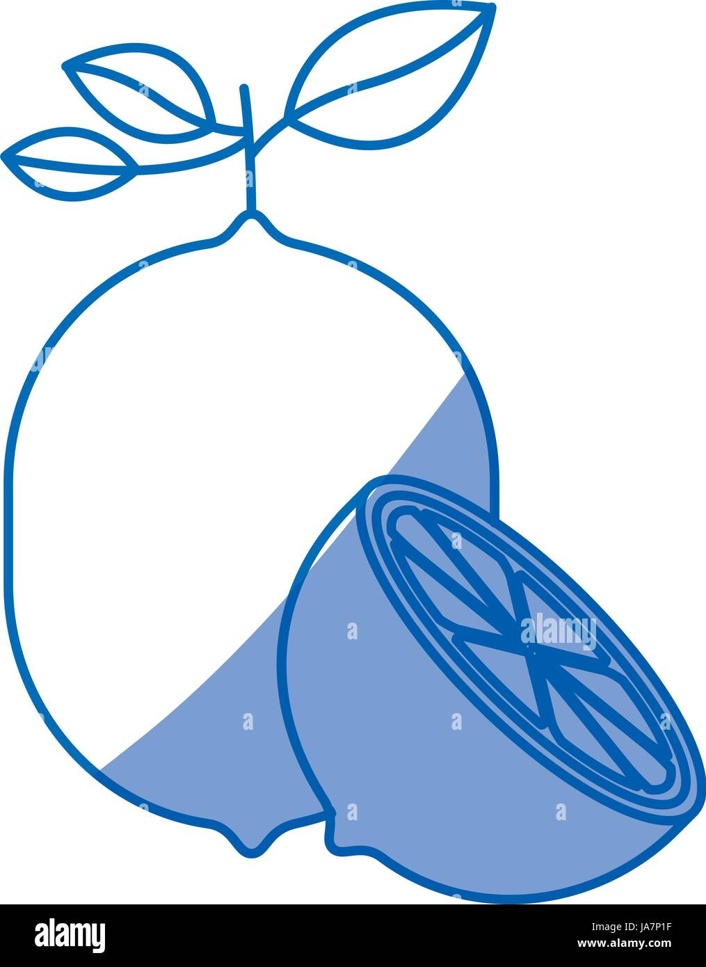 blue shading silhouette of lemon fruit with stem and leaves and half ...
