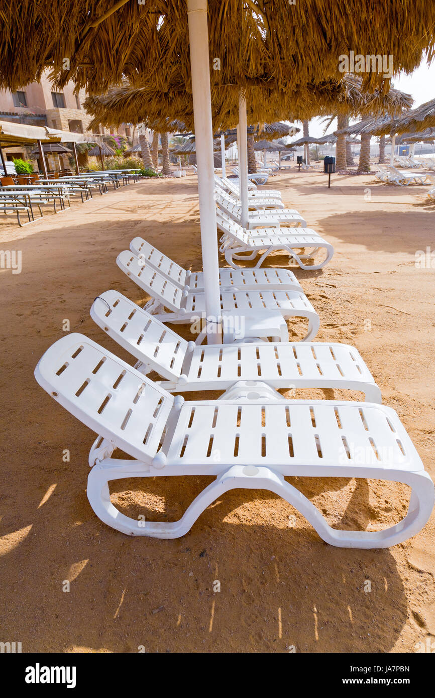 blue, relaxation, tree, shine, shines, bright, lucent, light, serene ...