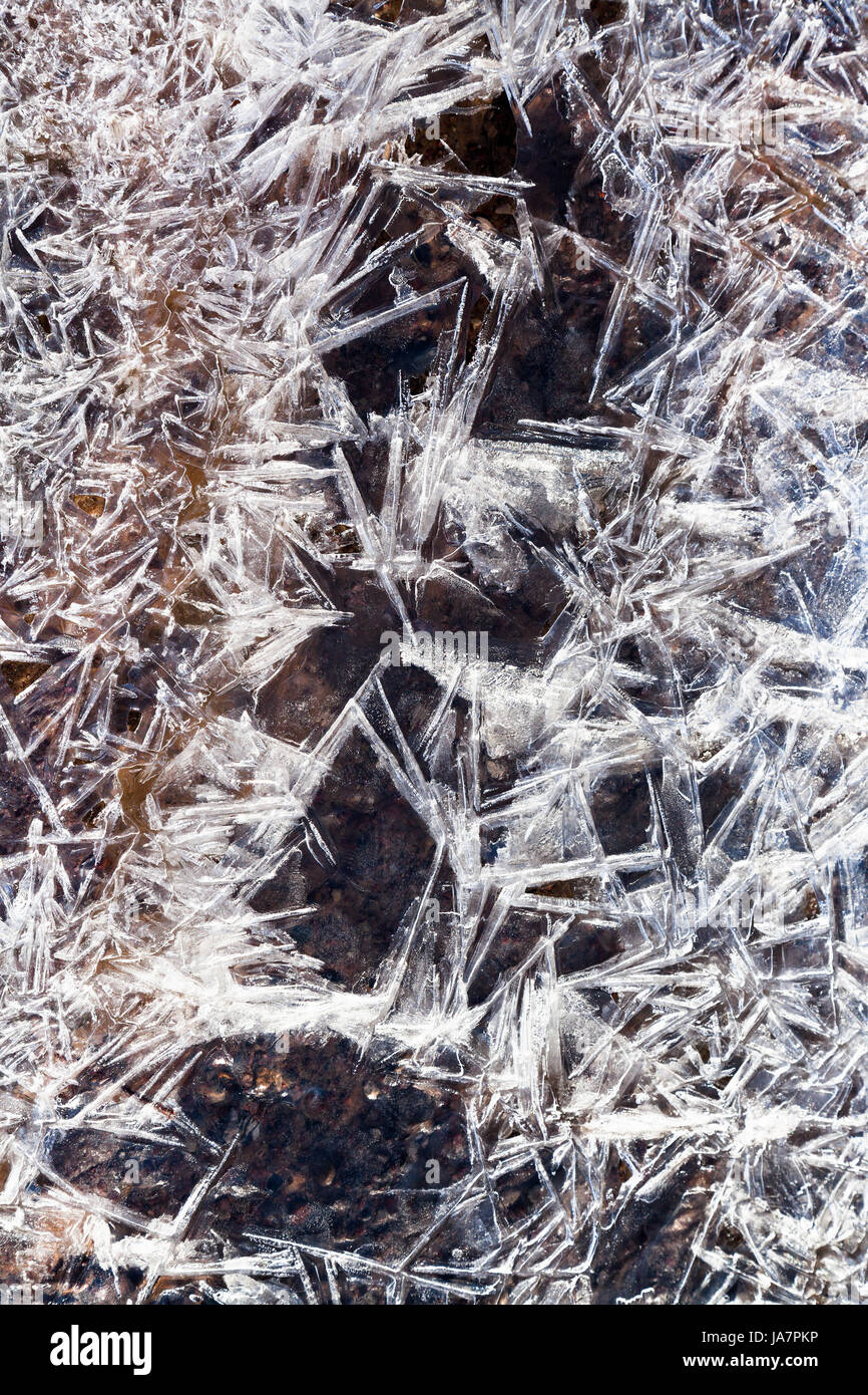 frost ice crystals under frozen water in spring forest Stock Photo - Alamy
