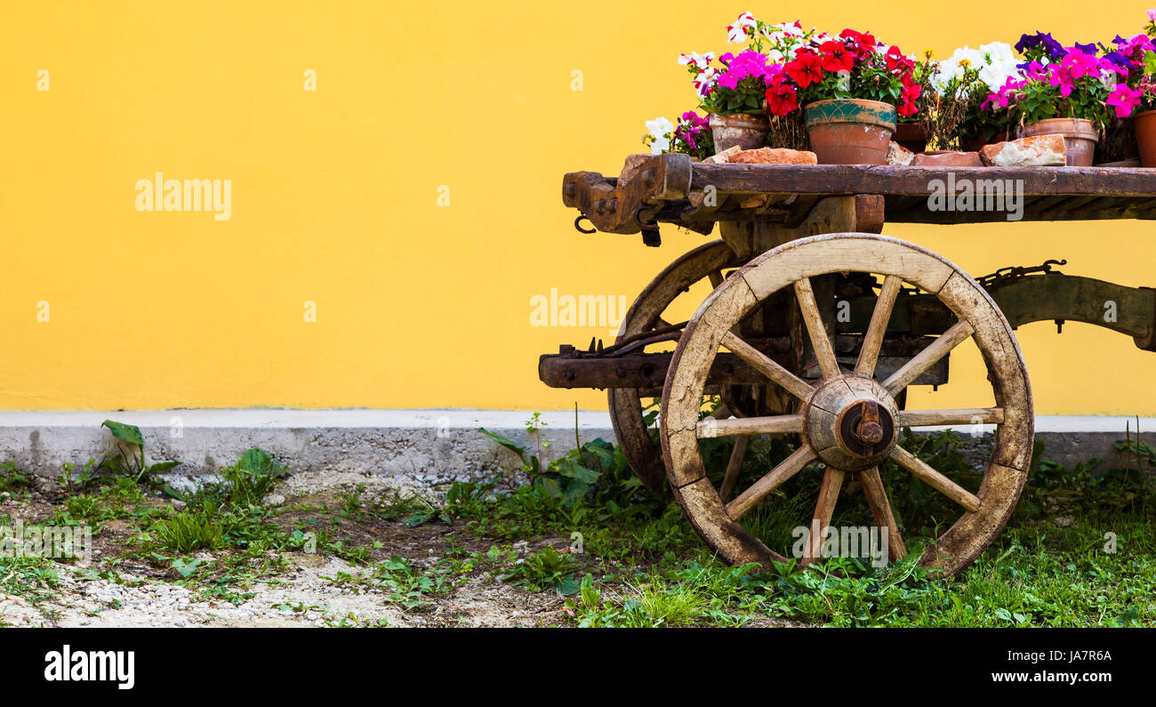 colour, model, design, project, concept, plan, draft, garden, flower ...