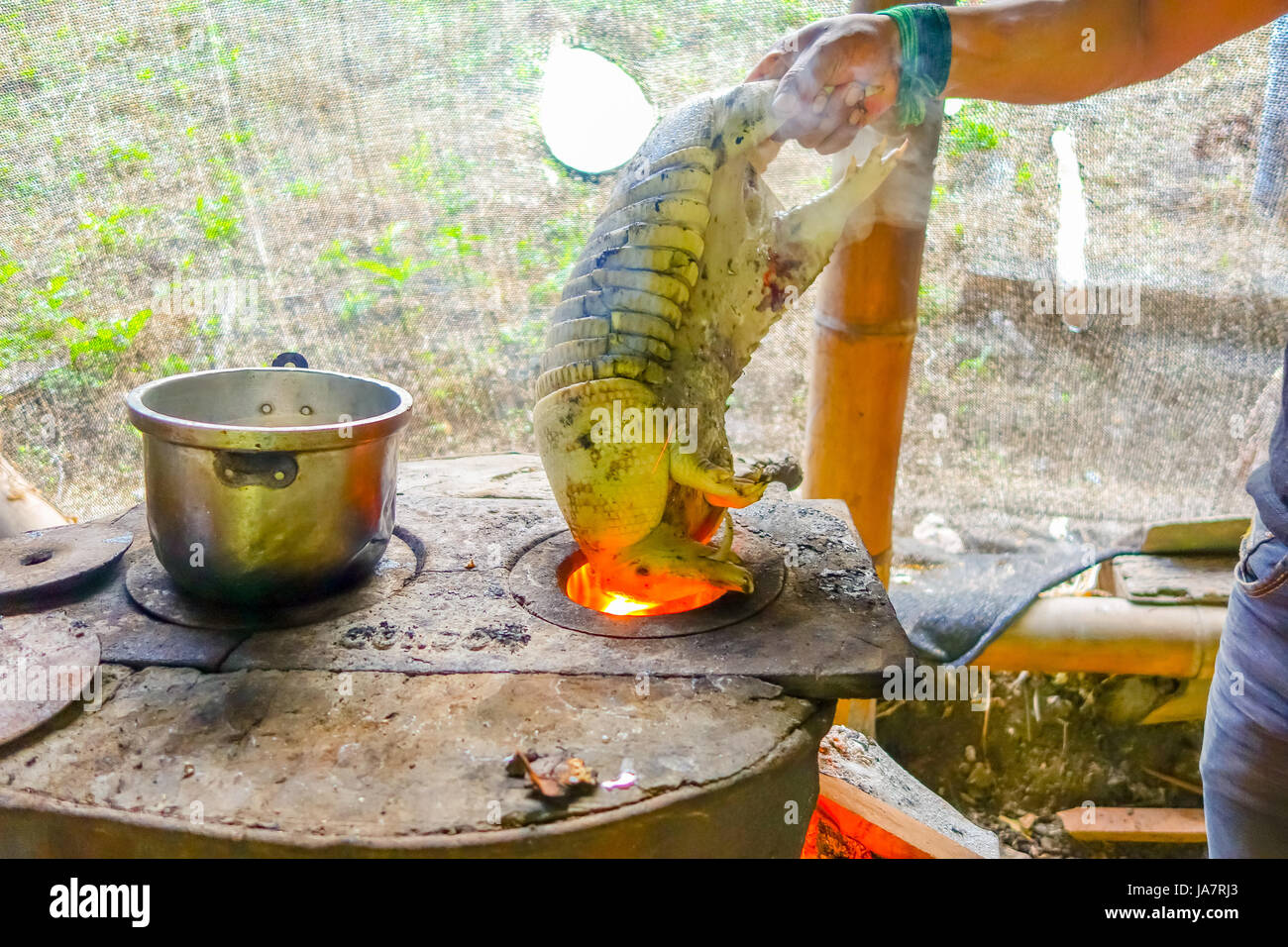 A shaman burning the skin of the armadillo, preparing the food for ...