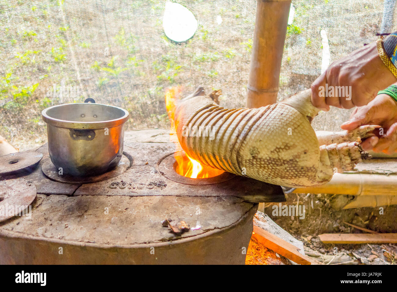 A shaman burning the skin of the armadillo, preparing the food for ...