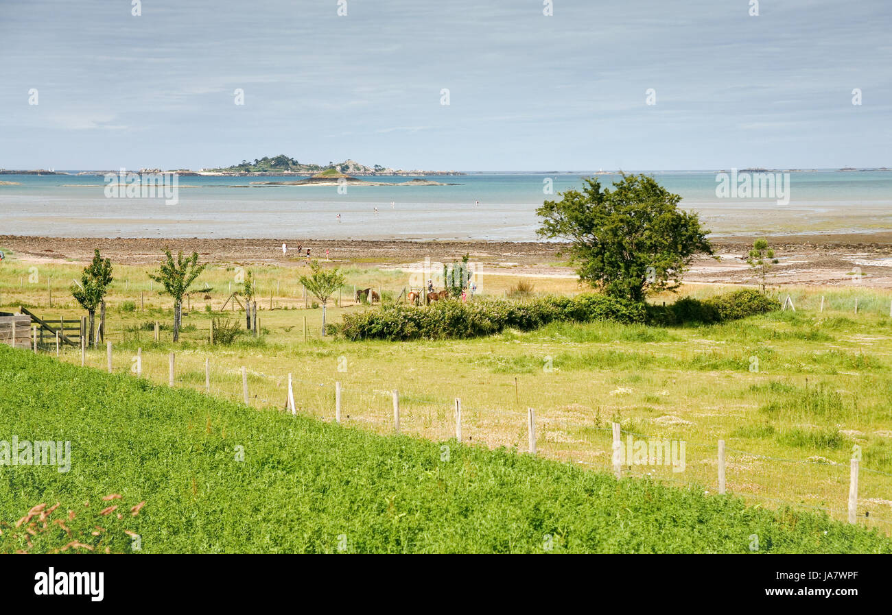 blue, agrarian, agricultural, tree, horizon, garden, greenland, field ...