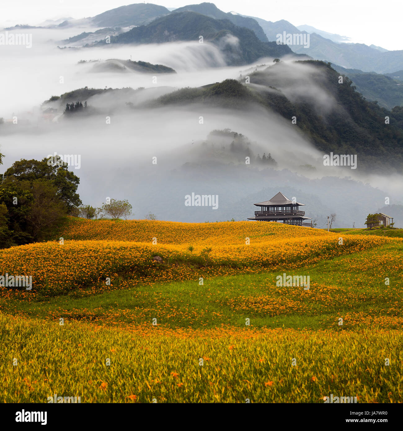 beautiful, beauteously, nice, environment, enviroment, model, design ...